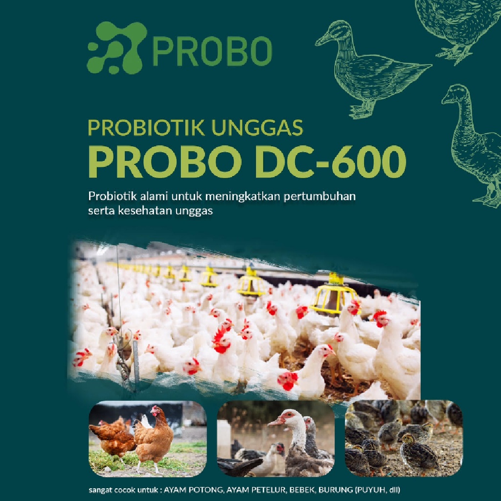 PT KARMAND MITRA ANDALAN | Probiotik Untuk Ikan Air Tawar & Udang Probo ...